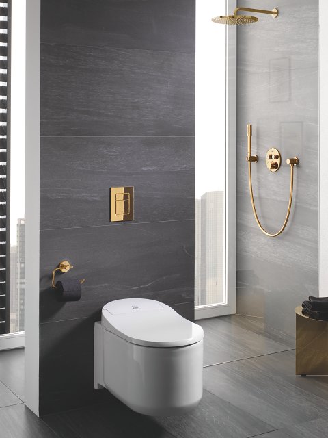 Skate Cosmopolitan - WC Solutions - For your Bathroom | GROHE