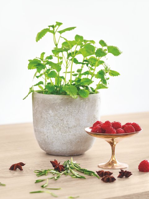 Mathygiene for en sunn konsumering | GROHE - Grohe AG Company Page