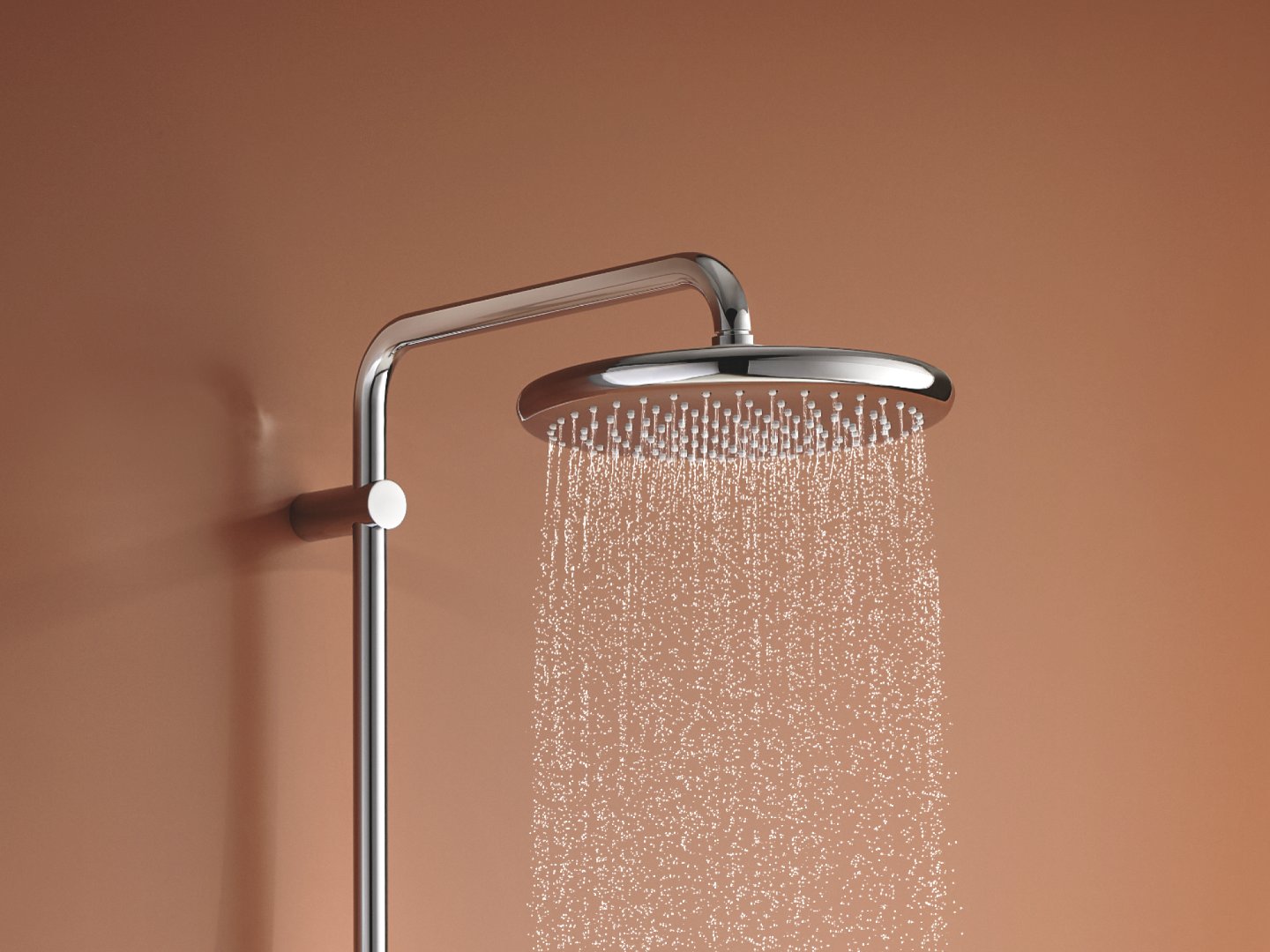 New Tempesta 110 hand shower | GROHE