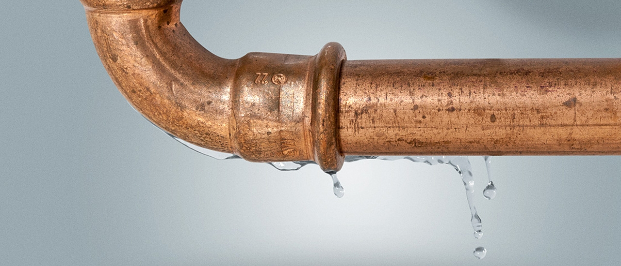 GROHE Sense/ GROHE Sense Guard | GROHE