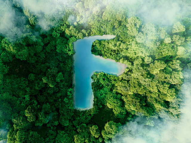 Luxury Bathroom Taps, Shower Heads & Kitchen Mixer Taps | GROHE