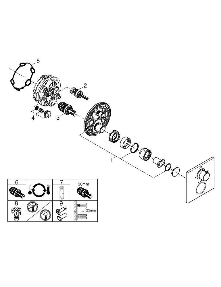 Allure Thermostat for concealed installation with 2-way diverter hand ...