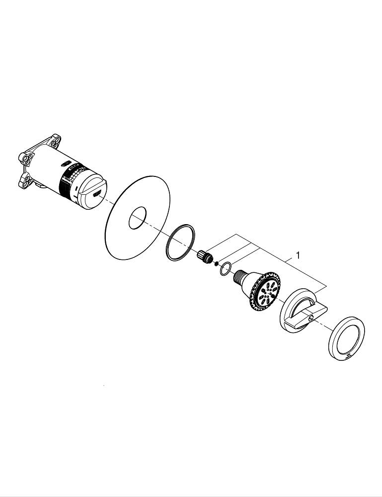 Rainshower Aqua Body spray round 2 spray | GROHE