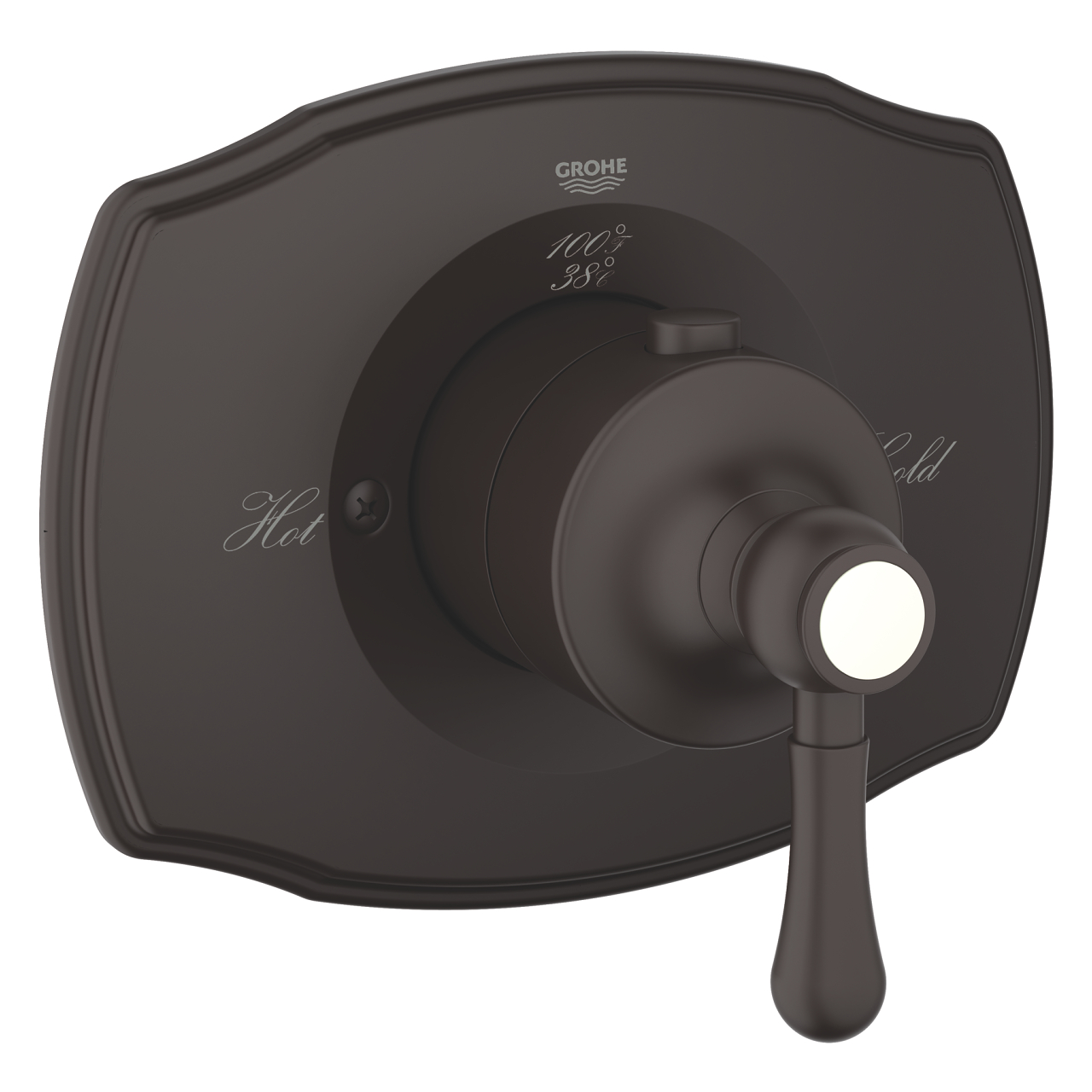 Grohtherm 2000 Authentic Custom shower thermostatic trim with control ...