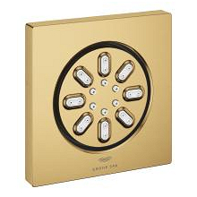 Rainshower Aqua Stick Manopola doccia | GROHE