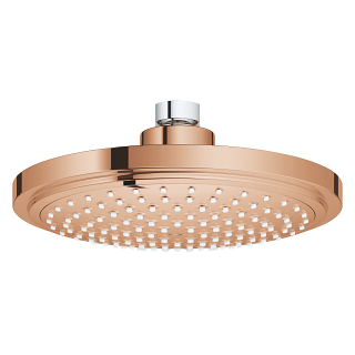 Euphoria Cosmopolitan 160 Tuš ruža, 1 mlaz | GROHE