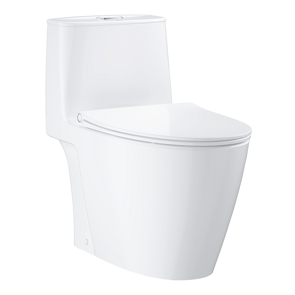 Bau Ceramic Floor standing one piece toilet without seat and cover | GROHE