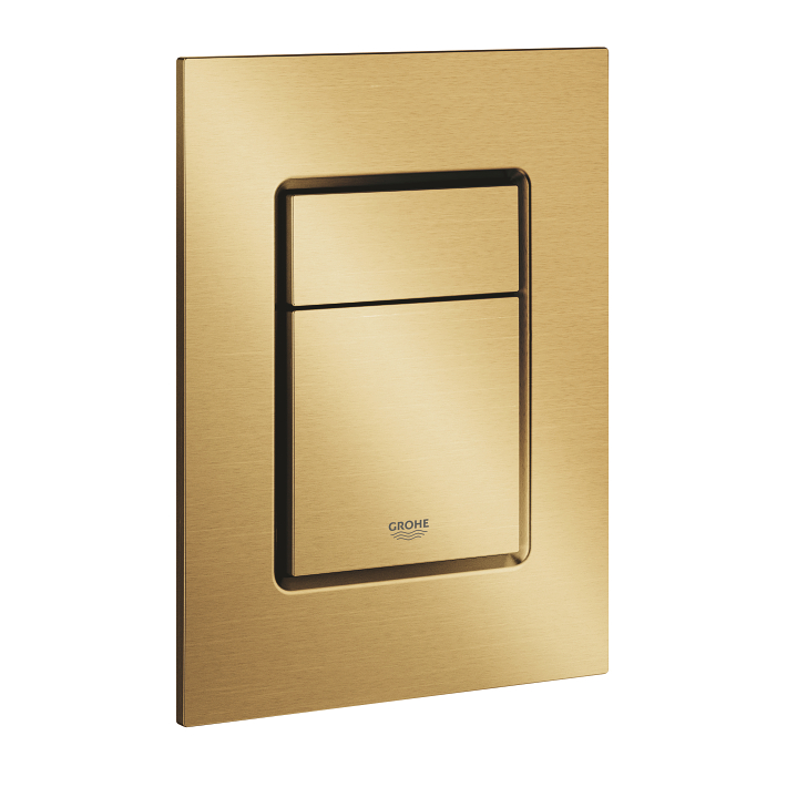 Skate Cosmopolitan S Flush plate | GROHE
