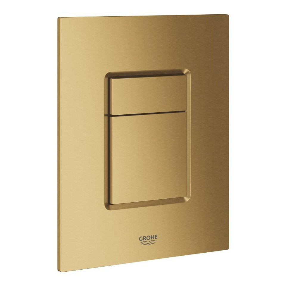 Skate Cosmopolitan Flush plate | GROHE