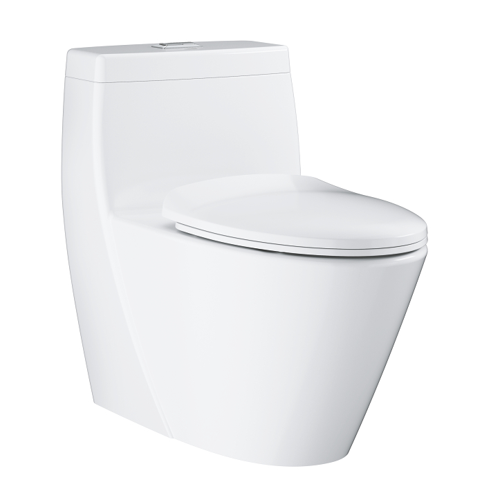 Projectline Floor standing 1 piece toilet | GROHE