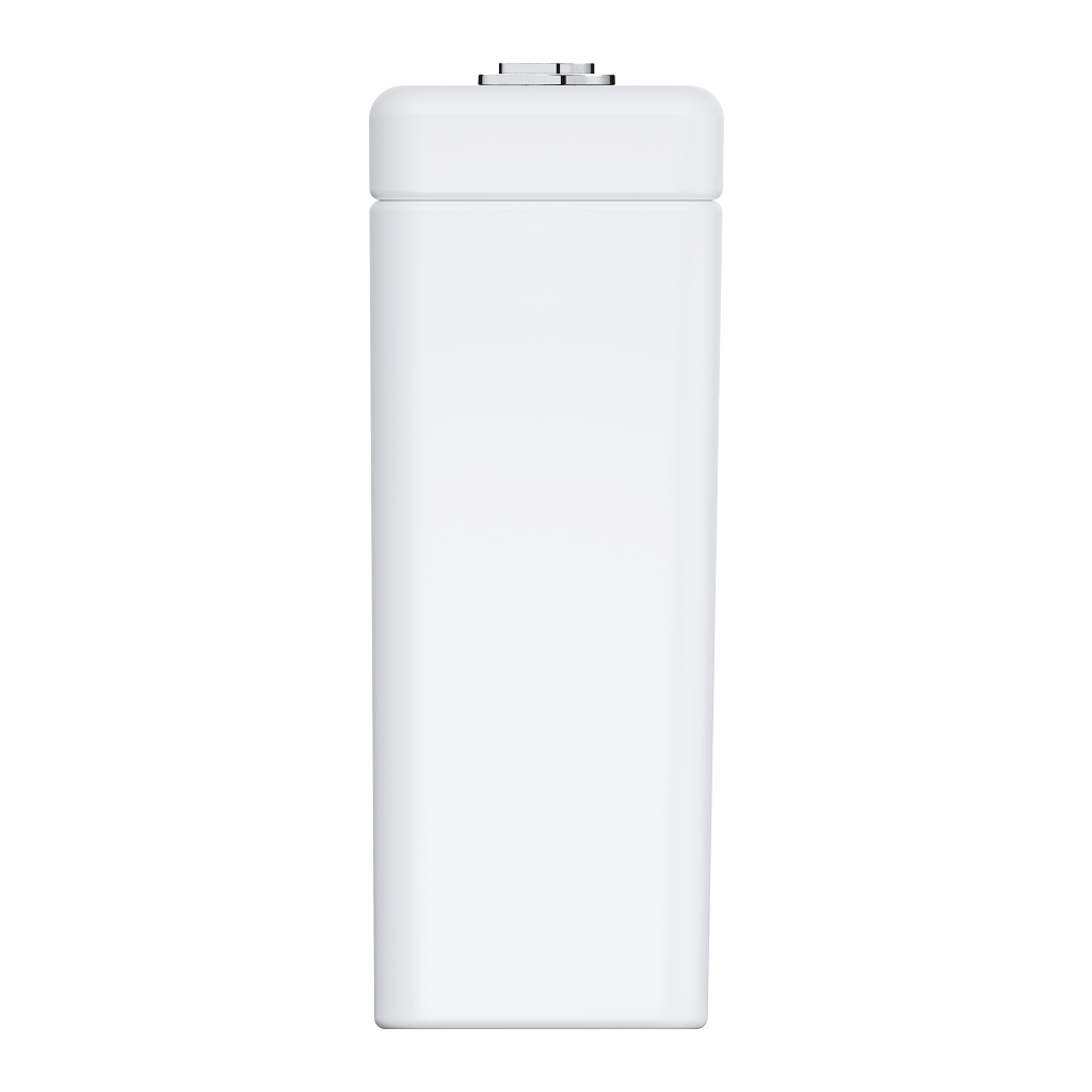 BauEdge Ceramic Exposed flushing cistern | GROHE