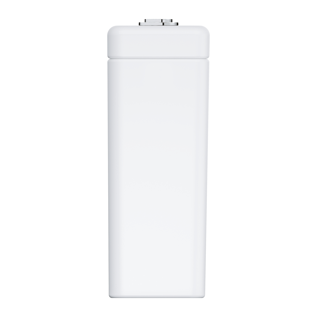 BauEdge Ceramic Exposed flushing cistern | GROHE