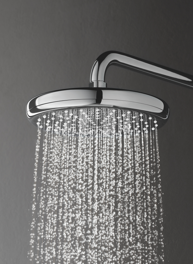 TEMPESTA KOPFBRAUSEN | GROHE