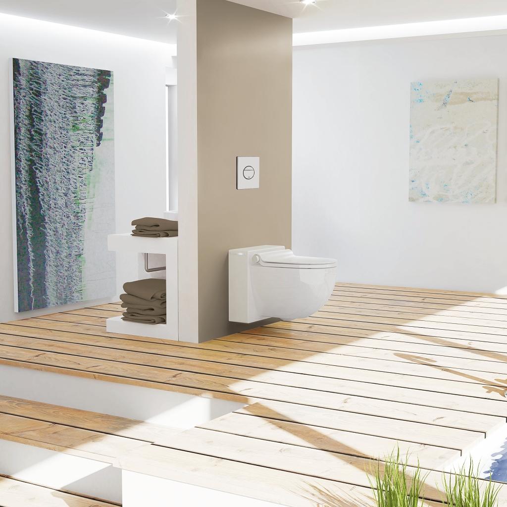 GROHE Sensia IGS Shower toilet complete system for concealed flushing ...